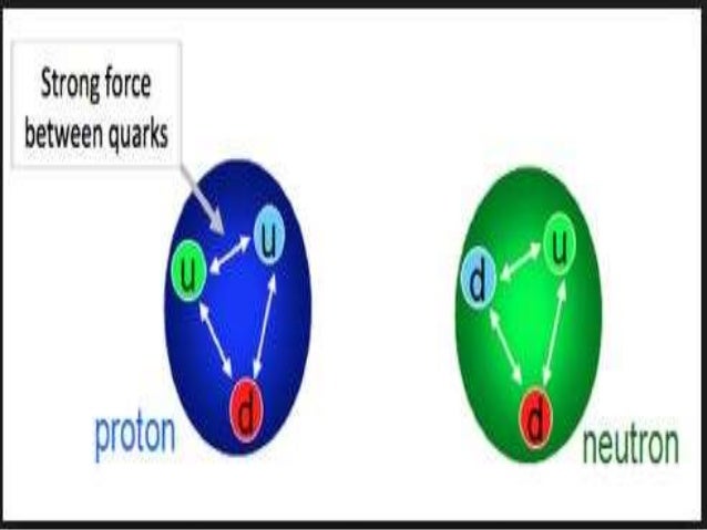 Elementry particles project by Jyotibhooshan chaturvedi