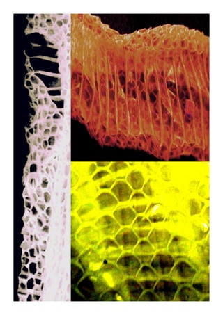 Elements 8 flotsam | PDF | Arts and Crafts | Hobbies & Interests