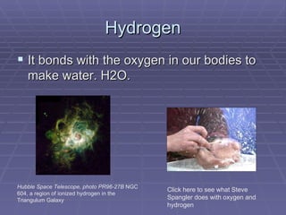 Elements And The Human Body | PPT