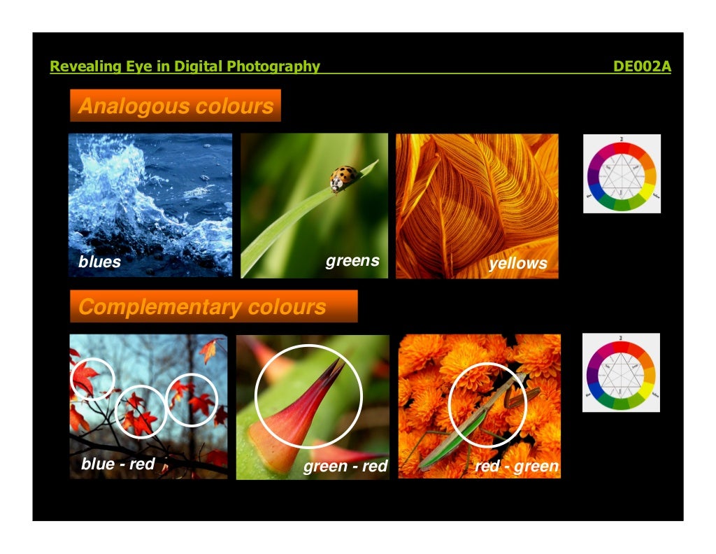 Elements Of Visual Design
