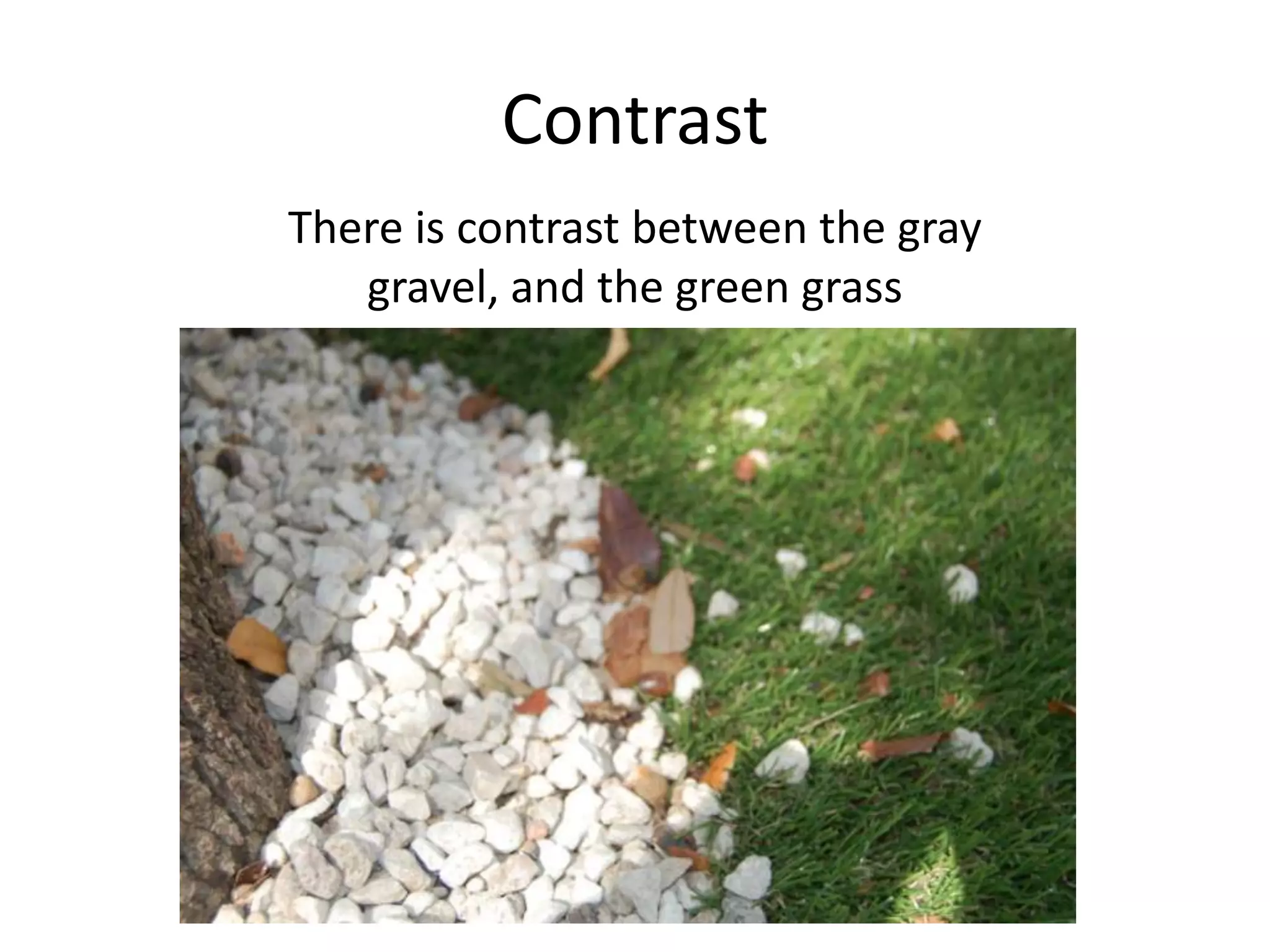 Elements and principles of design cameron goff pj perez | PPTX