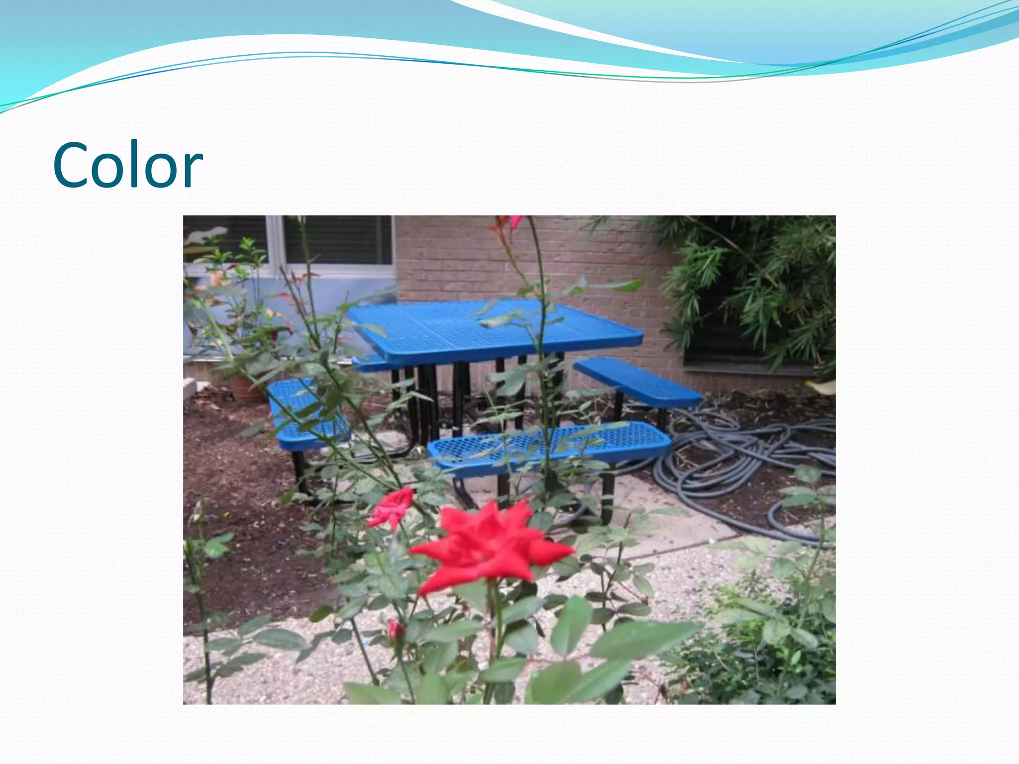 Elements and principles of design in photography....Ben Holzman Jack ...