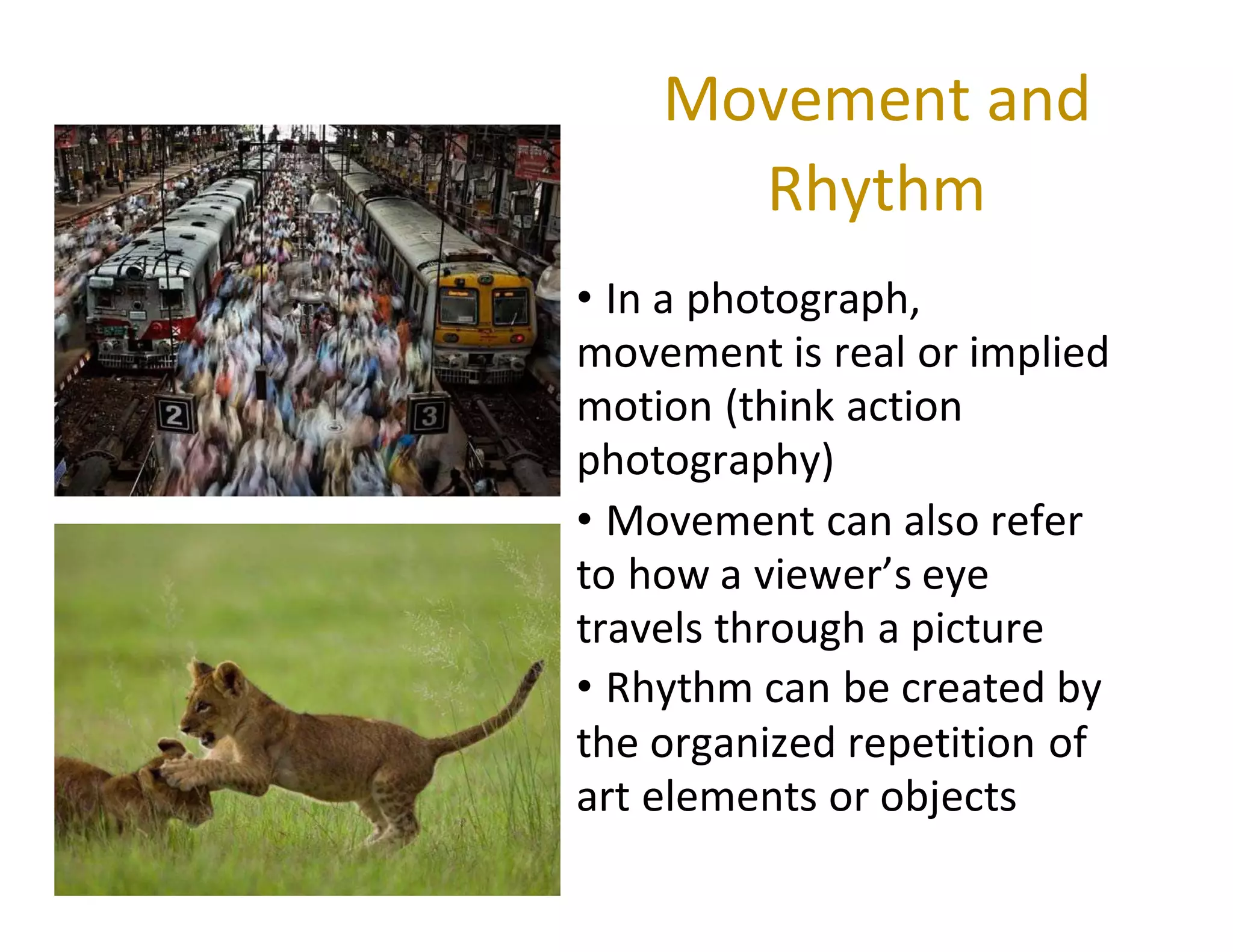 Elements and Principles of Design in Photography.docx