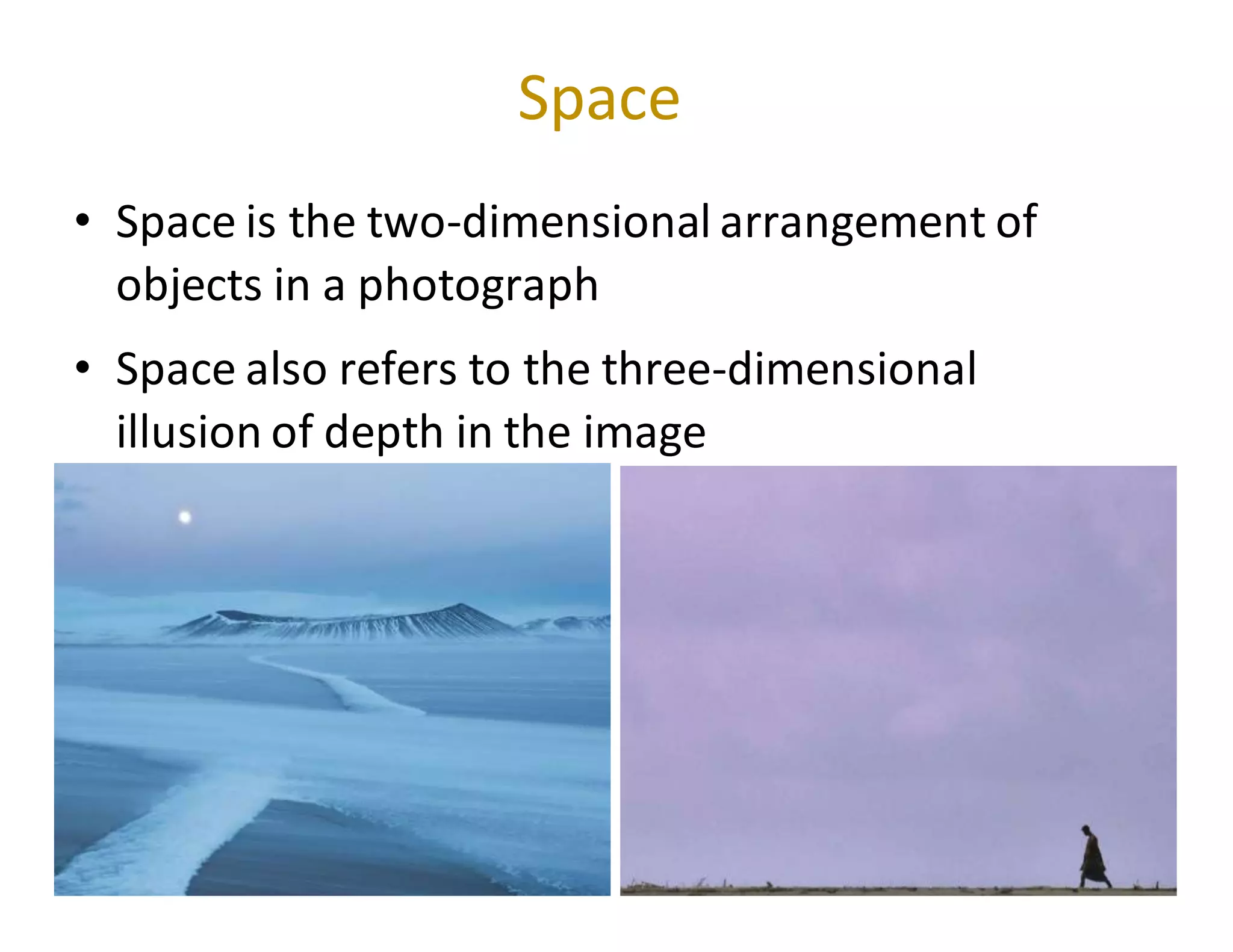 Elements and Principles of Design in Photography.docx