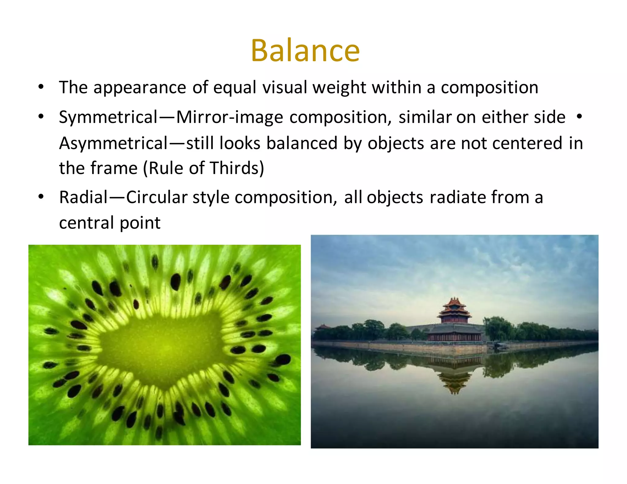 Elements and Principles of Design in Photography.docx