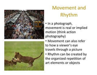 Elements and Principles of Design in Photography.docx