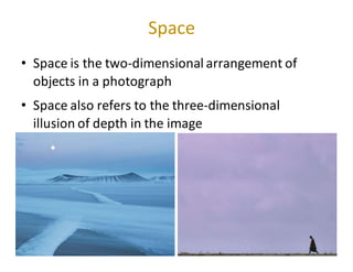 Elements and Principles of Design in Photography.docx