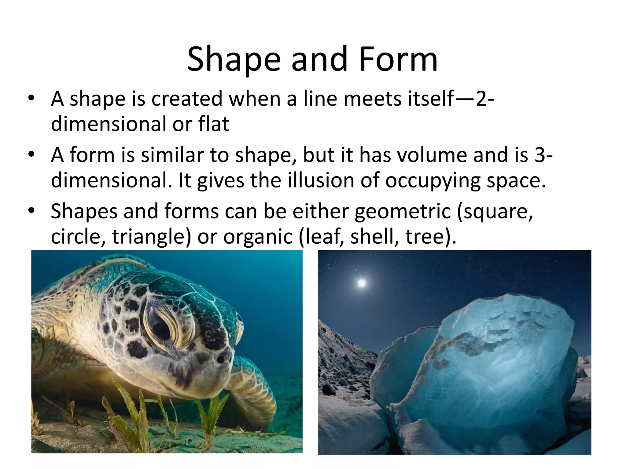 Elements and Principles of Design in Photography.pdf