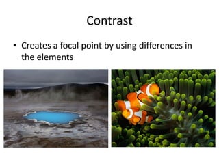 Elements and Principles of Design in Photography.pdf