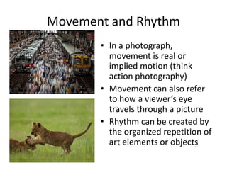 Elements and Principles of Design in Photography.pdf