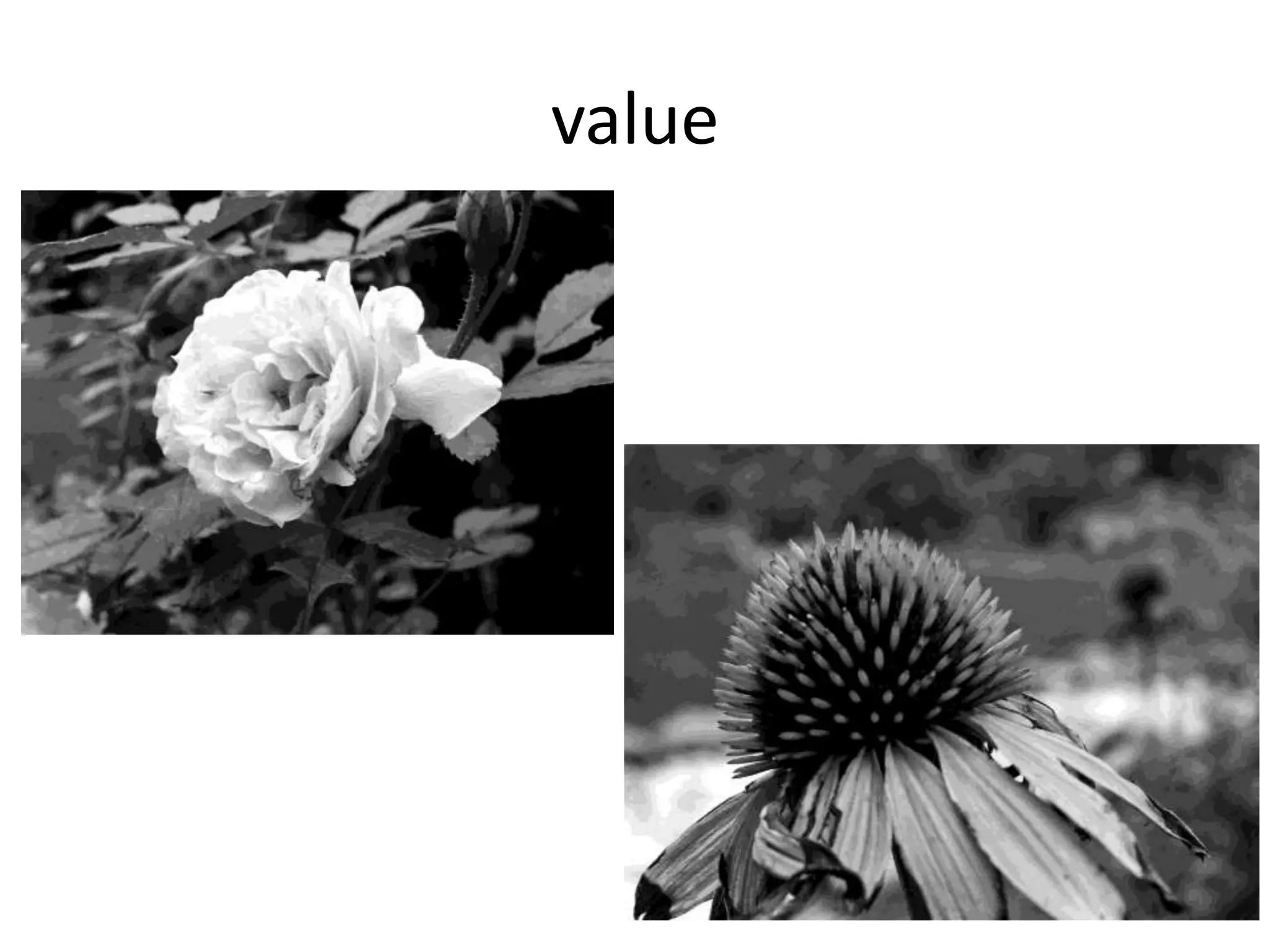 elements and PRINCPLES - PHOTOGRAPHY- VISUAL ARTS | PPT