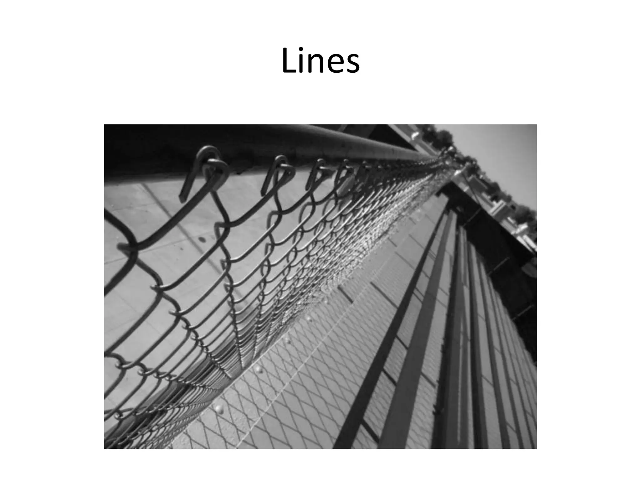 elements and PRINCPLES - PHOTOGRAPHY- VISUAL ARTS | PPT