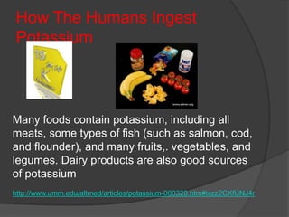 Elements & health project | PPT