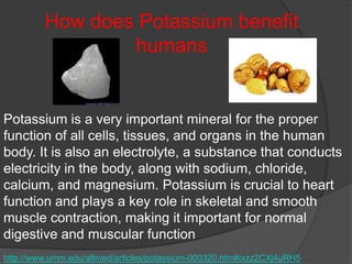 Elements & health project | PPT