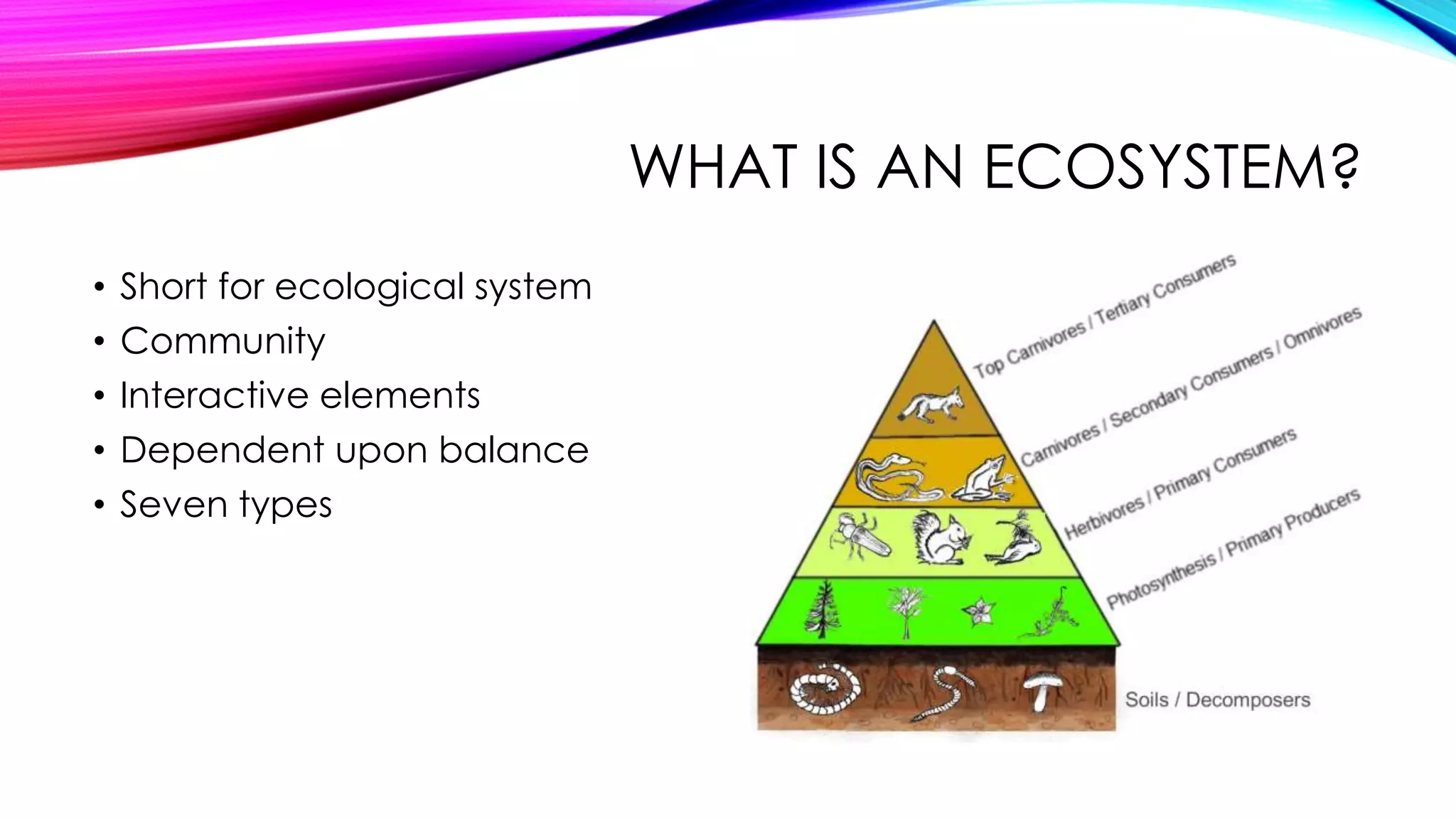 Elements of an ecosystem | PPTX