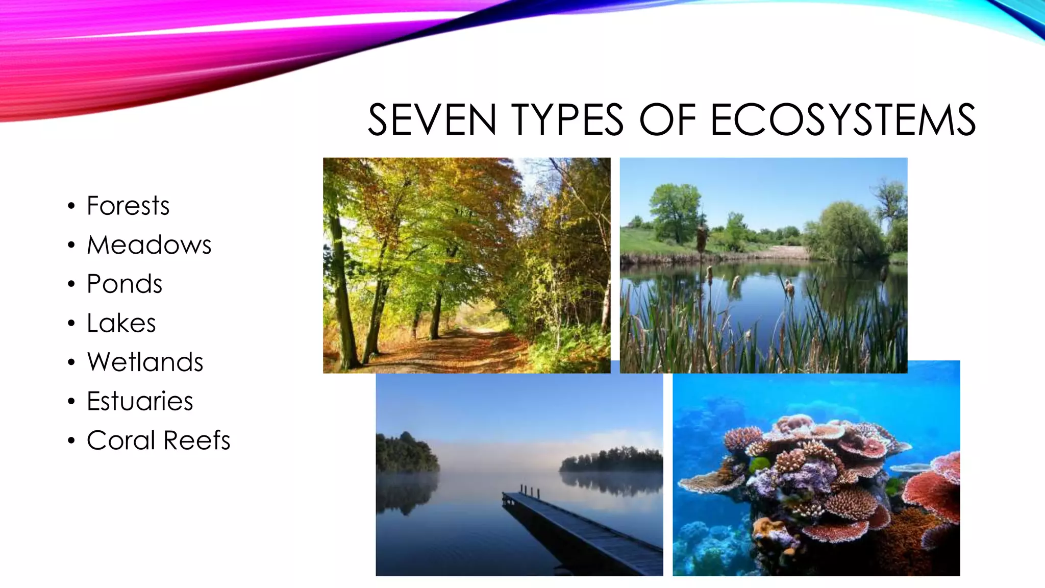 Elements of an ecosystem | PPTX