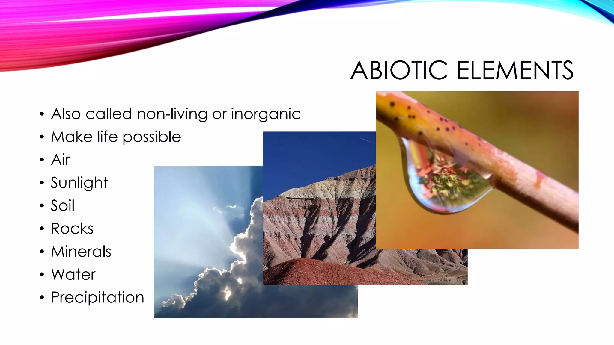 Elements of an ecosystem | PPTX