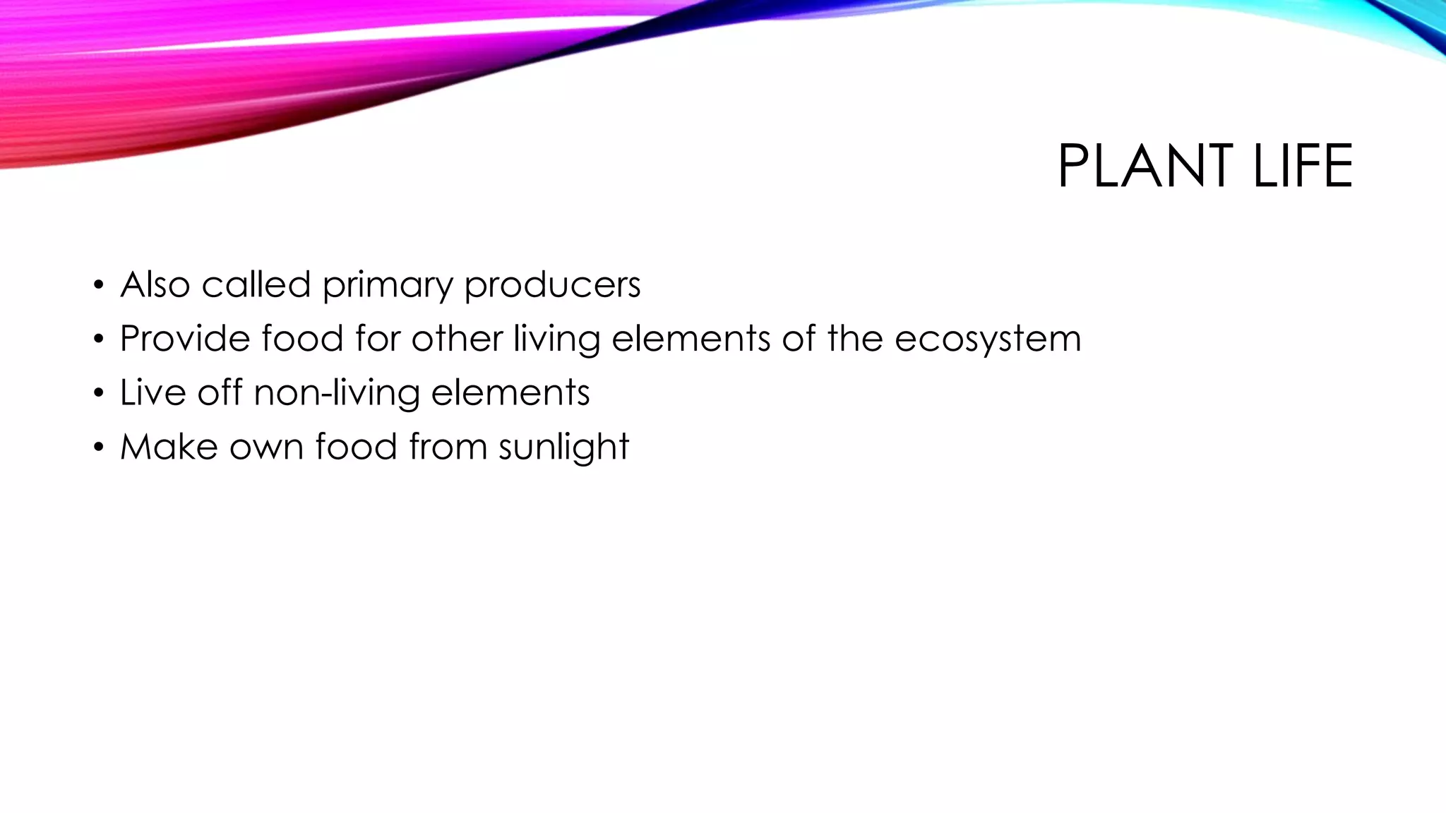 Elements of an ecosystem | PPTX