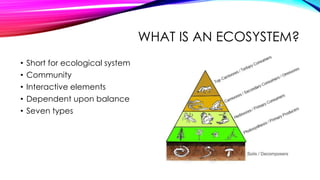 Elements of an ecosystem | PPTX
