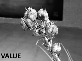 Elements of art powerpoint | PPTX