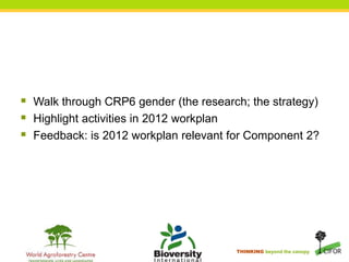 Elements of a strategy for gender responsive research | PPTX