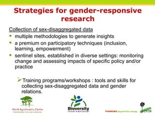 Elements of a strategy for gender responsive research | PPTX