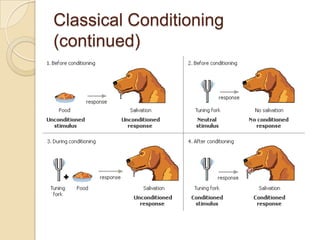 Elements Of Behavior | PPTX
