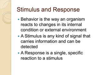 Elements Of Behavior | PPT