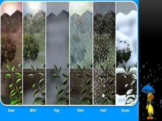 Elements of climate gif | PPT