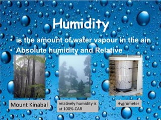 Elements of climate gif | PPT