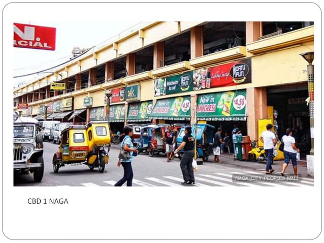 Elements of community structure | PPTX