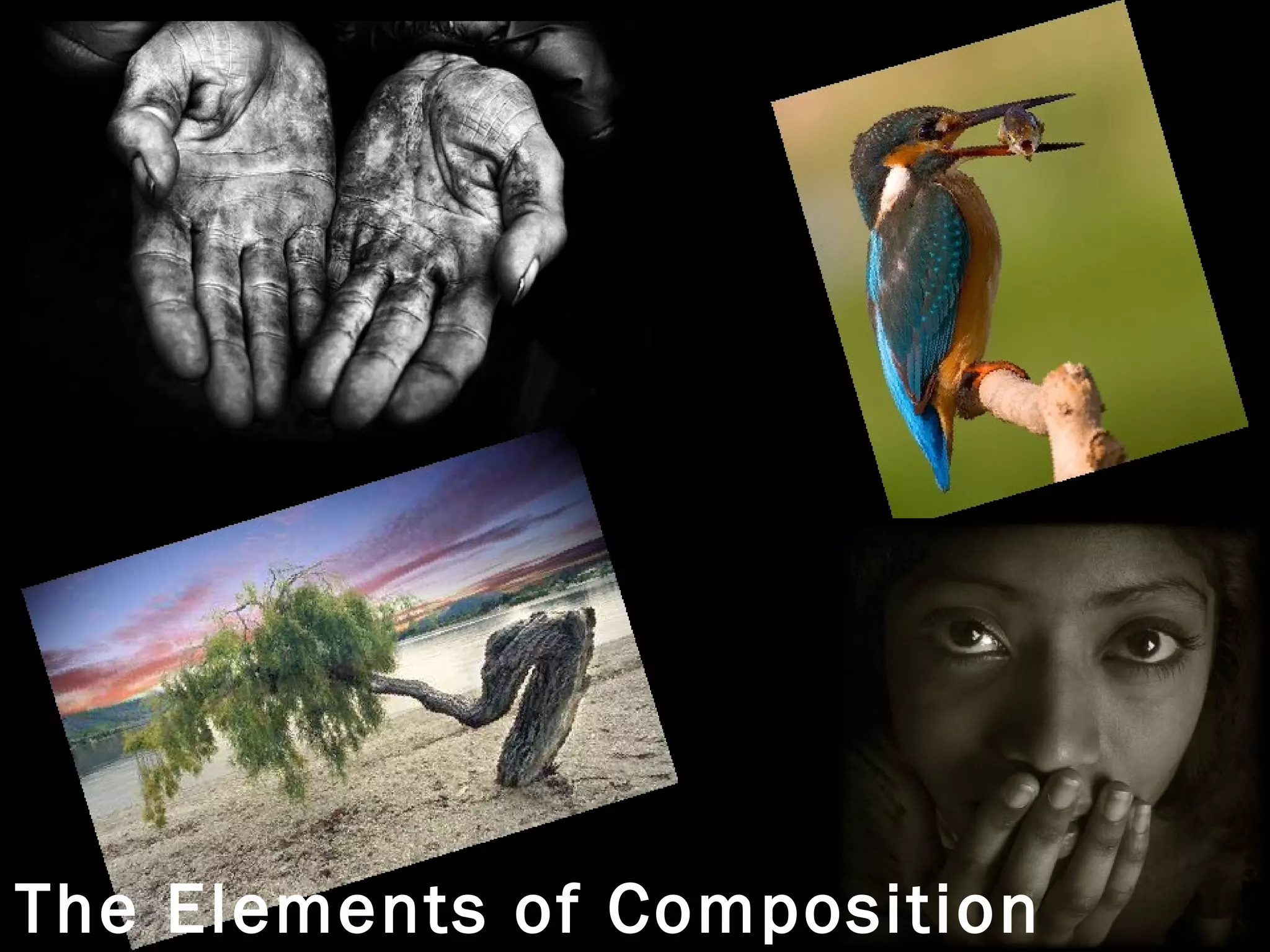 Elements of Composition | PPT