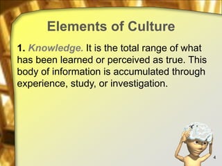 Elements of Culture | PDF