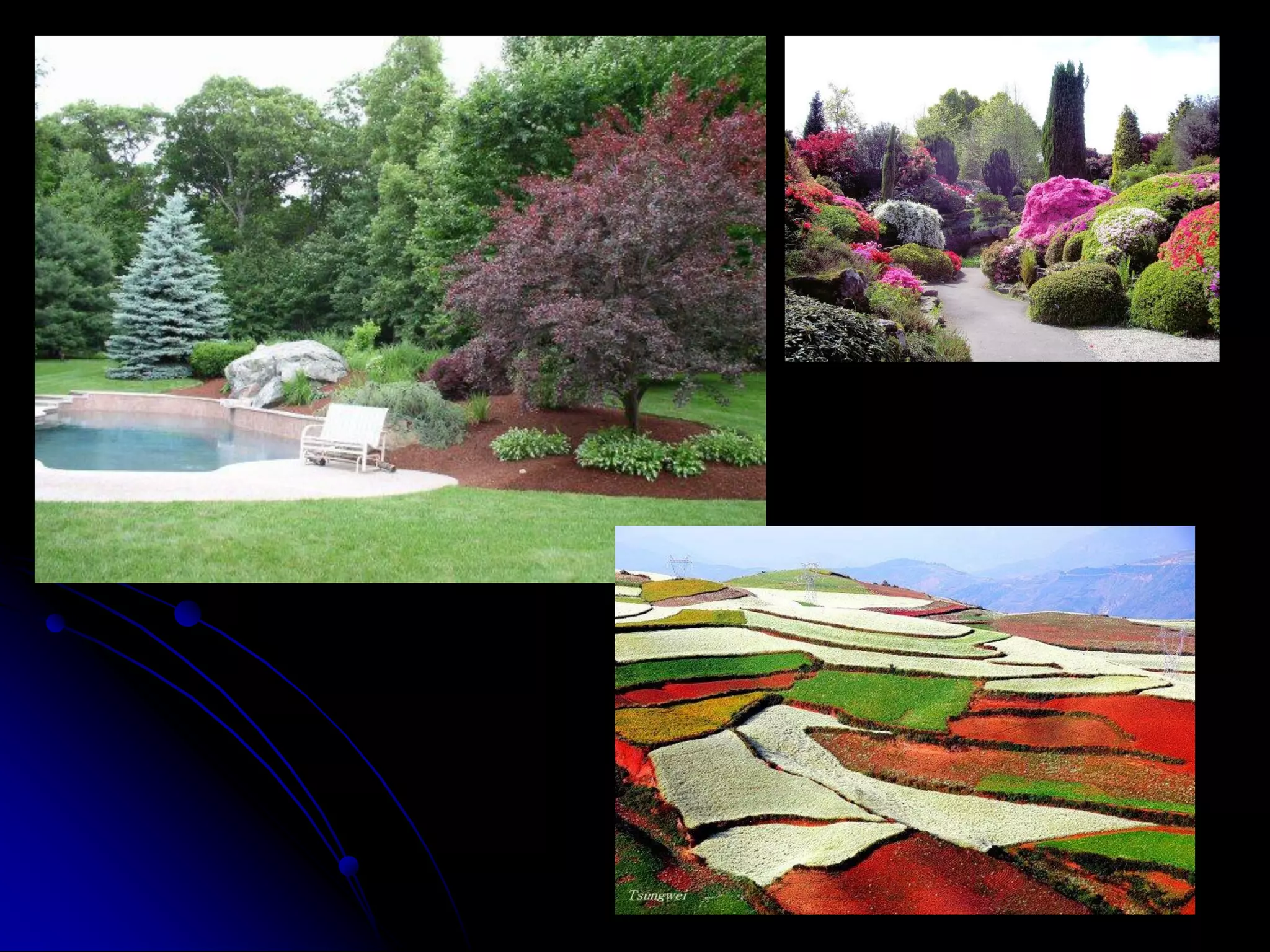 LANDSCAPES : ELEMENTS AND PRINCIPLES | PDF