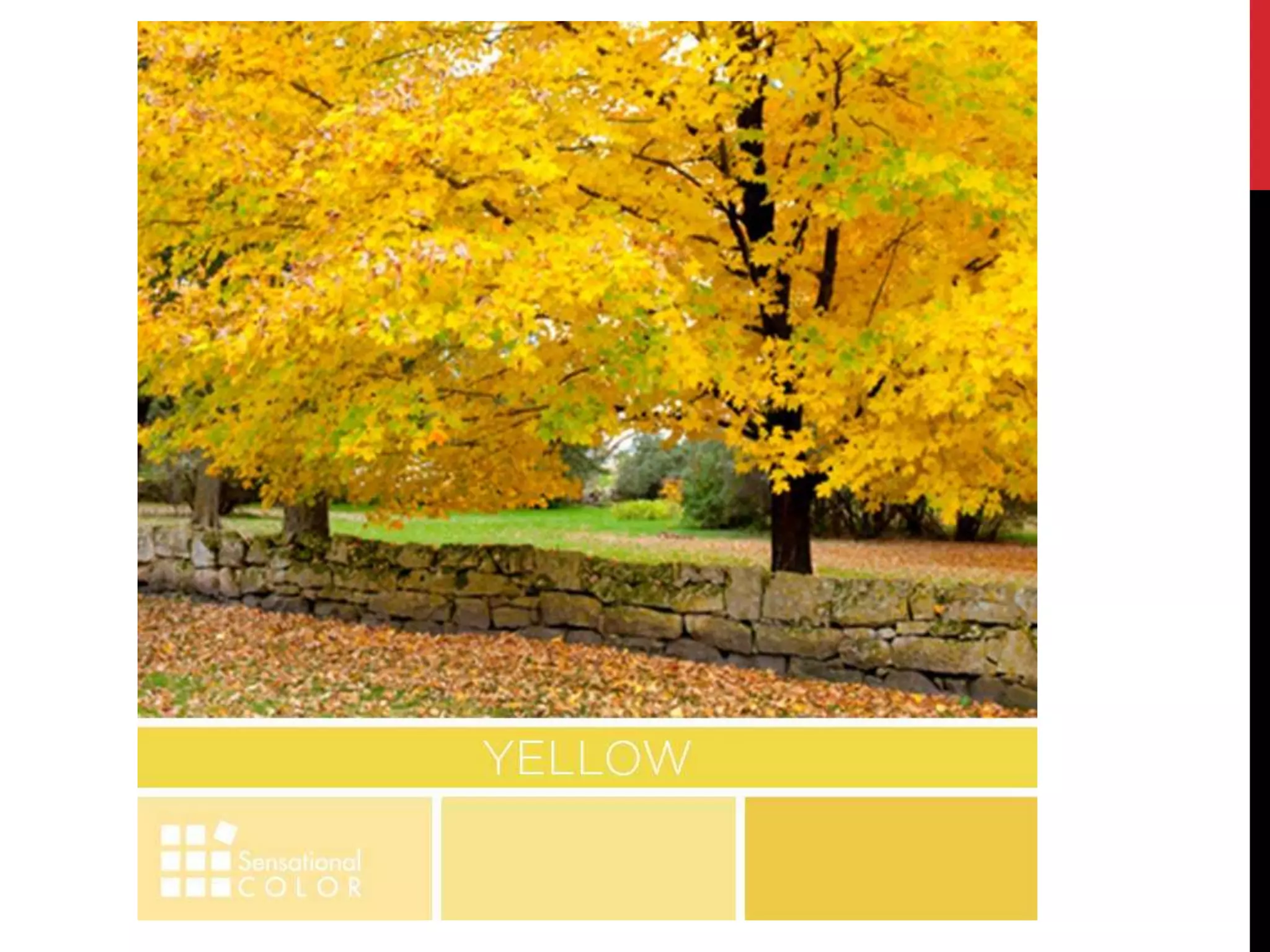 Elements of design-Color | PPTX