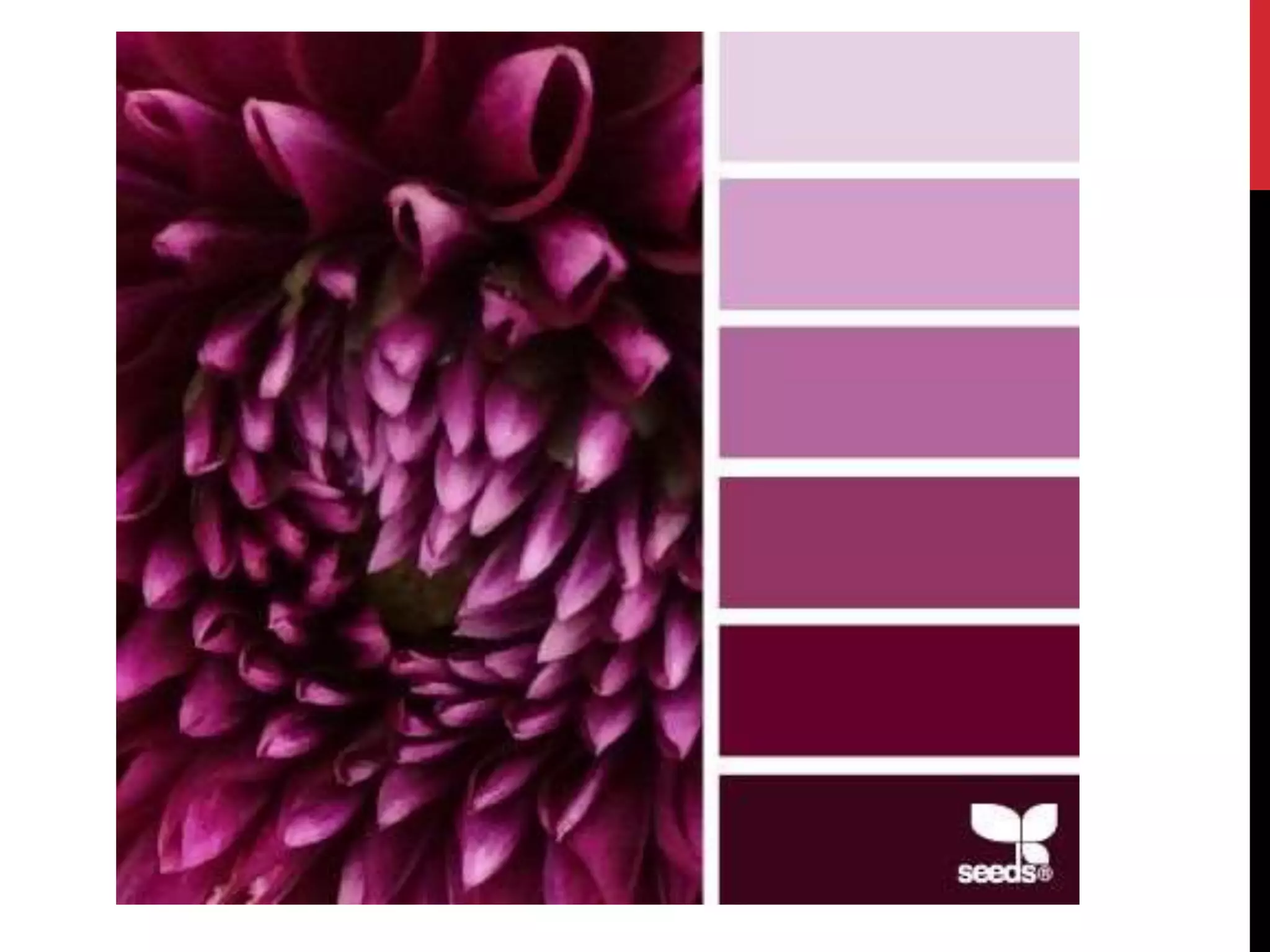 Elements of design-Color | PPT