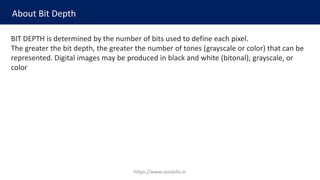 Elements of digital images day06 | PPT