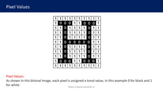 Elements of digital images day06 | PPT