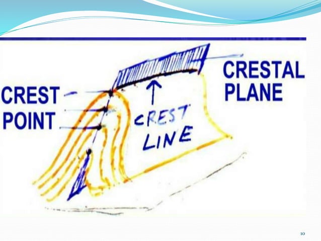 Elements of fold | PPTX | Geology | Science