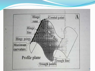 Elements of fold | PPTX