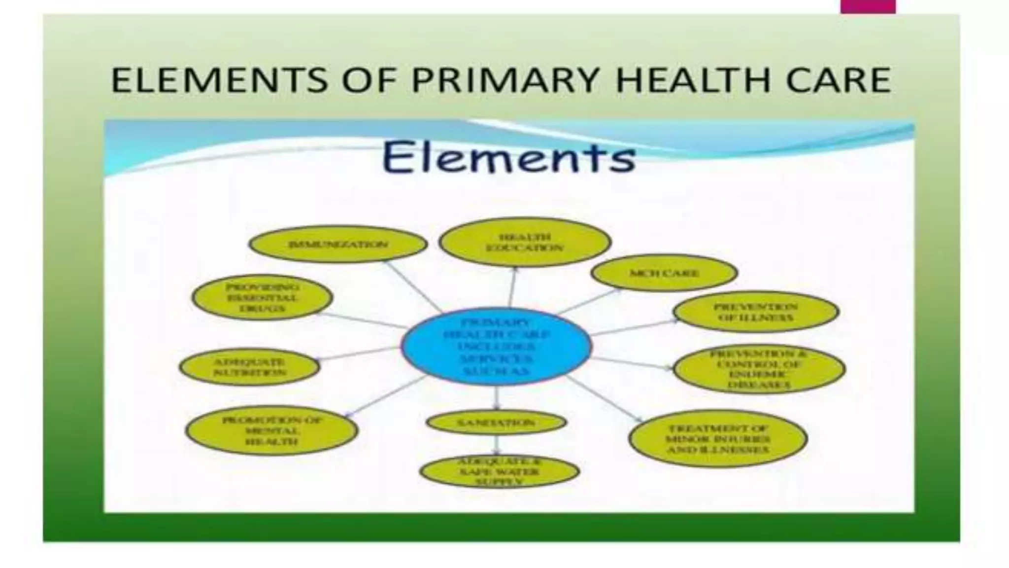 Elements of health services management.pptx