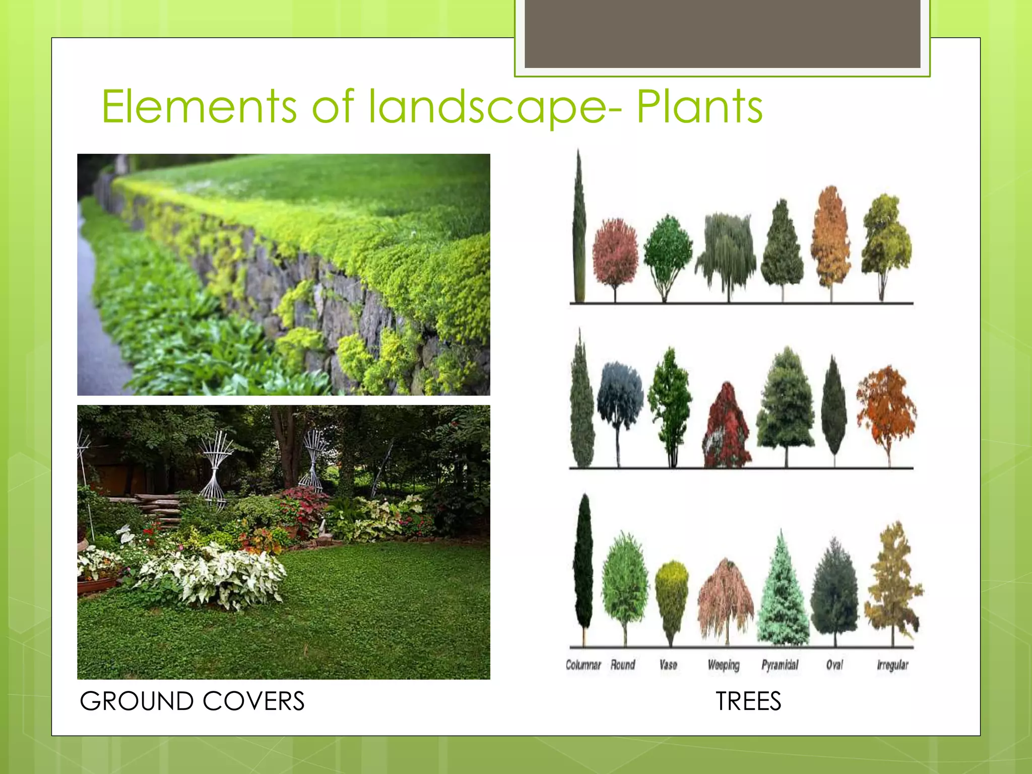 Elements of landscape | PPTX