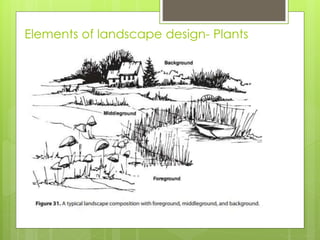 Elements of landscape | PPTX