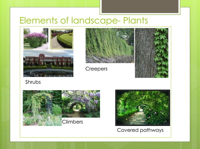 Elements of landscape | PPTX