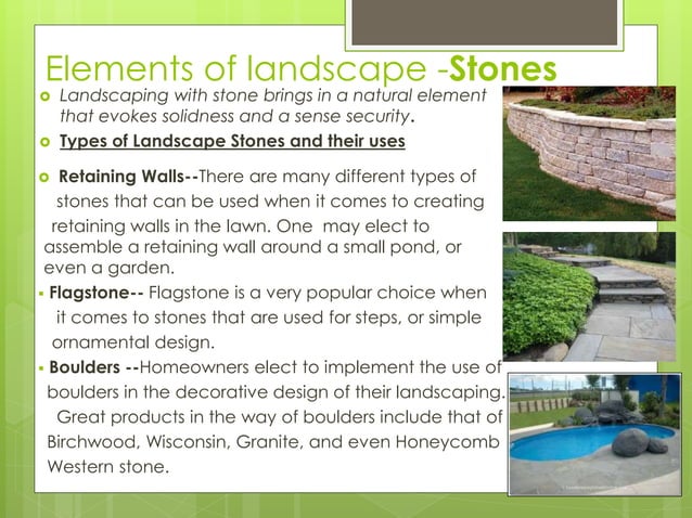 Elements of landscape | PPTX
