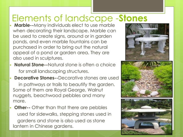 Elements of landscape | PPTX