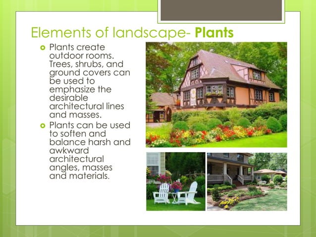 Elements of landscape | PPTX