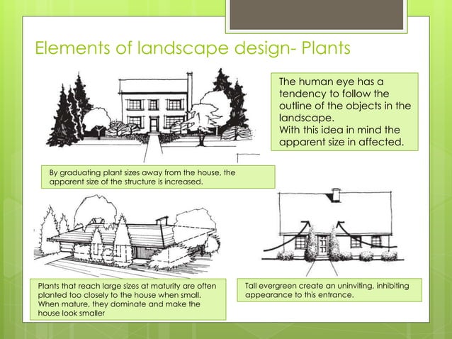 Elements of landscape | PPTX