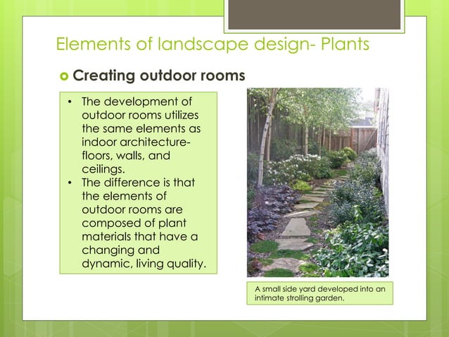 Elements of landscape | PPTX