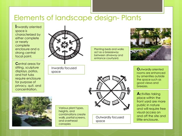 Elements of landscape | PPTX